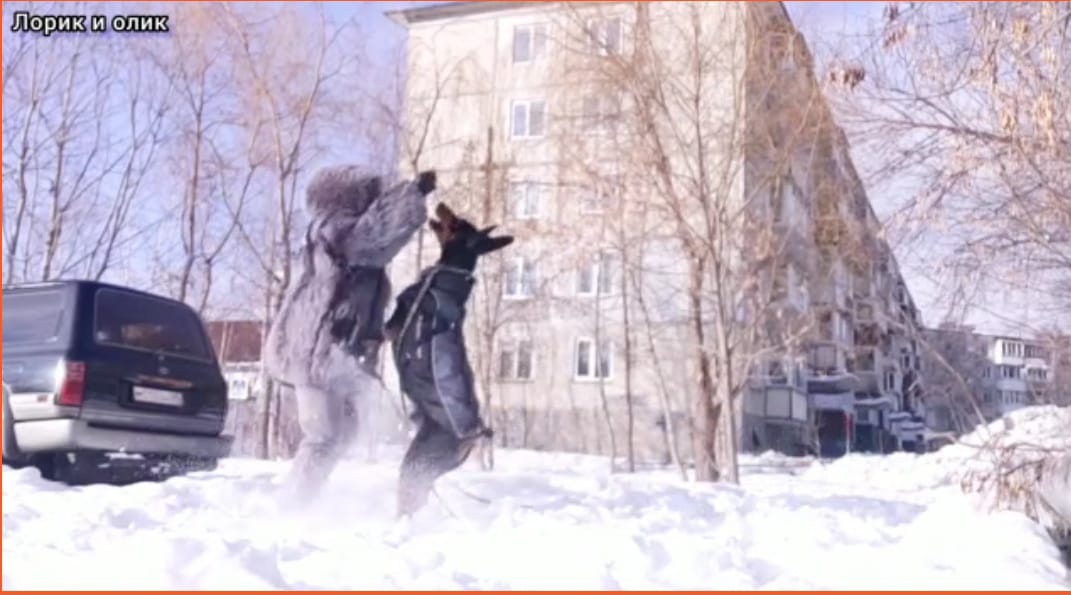 Что для Добермана кайф?