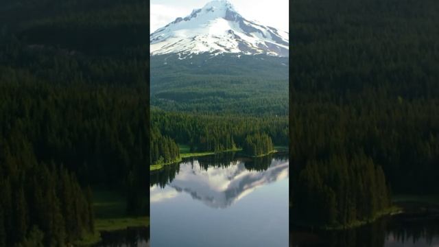 Видеообои "Красота в маленьких моментах"