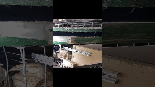 Перепелятник часть 2