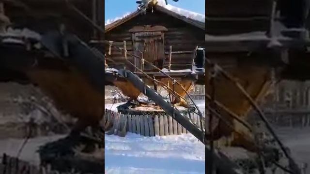 избушка на курьих ножках...