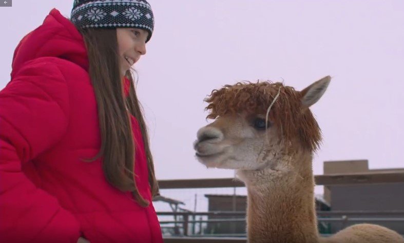 1 серия Сериал "Билет в будущее"