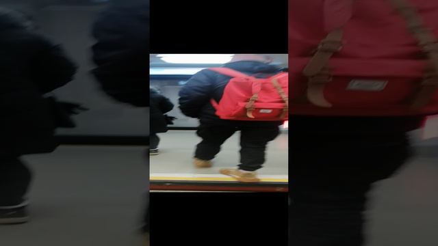 ТАКИЕ ВСЕ РАЗНЫЕ