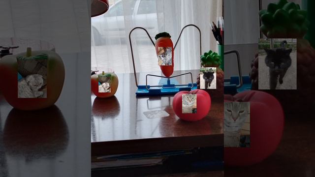 смешно 3 часть 🤣🤣🤣🤣