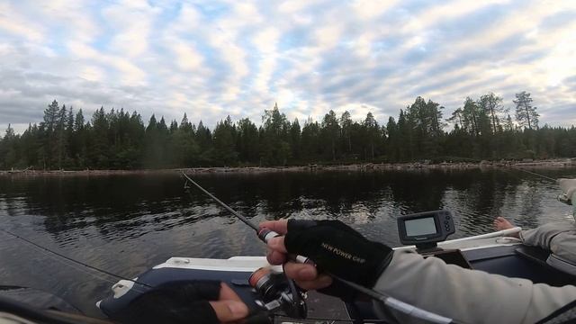 Блесна Ronin Rush Koema - ловля окуня в Карелии