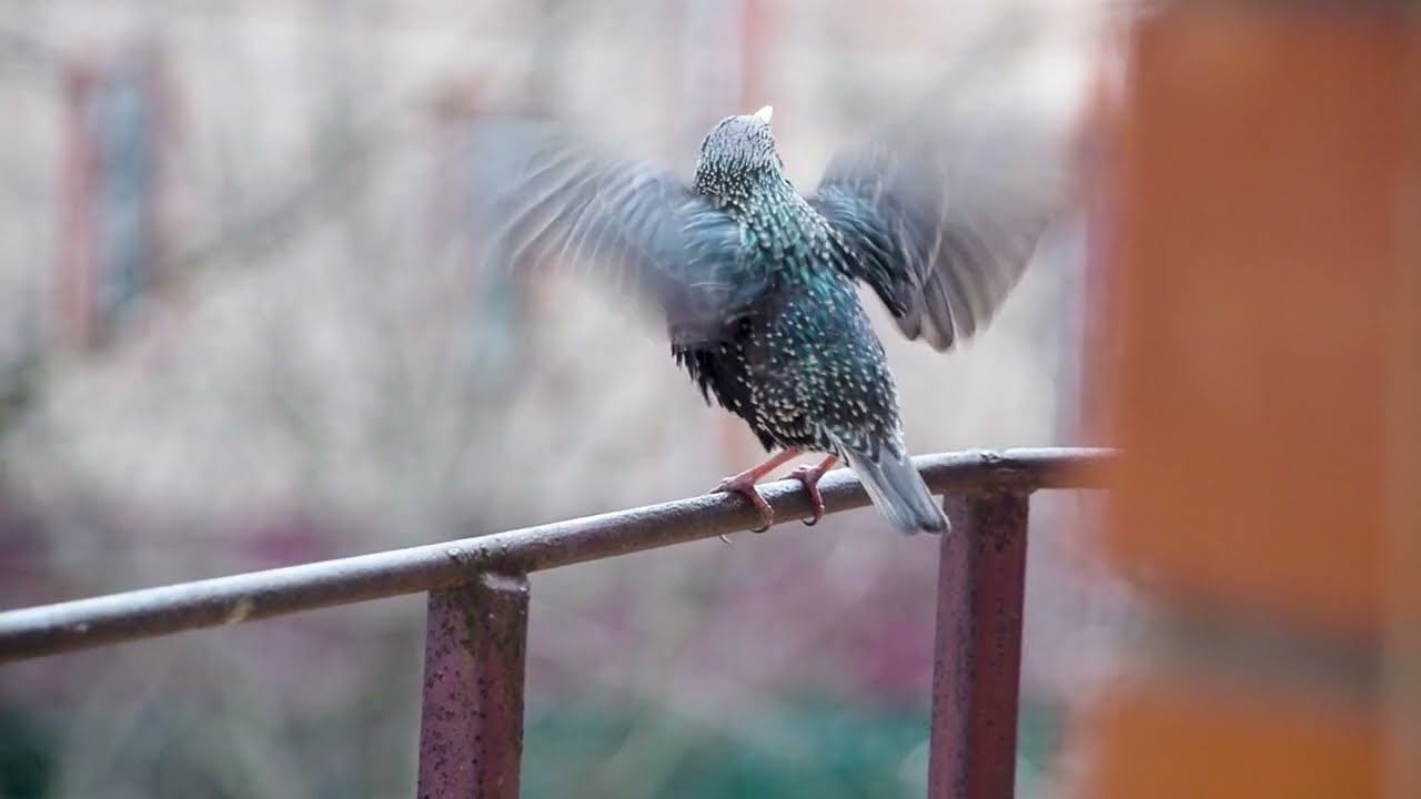 Апрельское утро