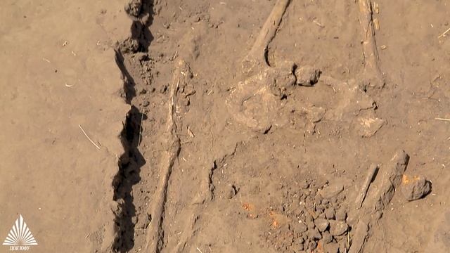 Южно-Донская археологическая экспедиция 2021