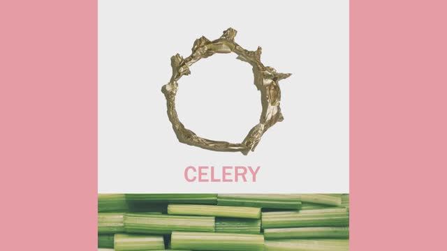 Дима Бамберг / DIMA BAMBERG  / SCHOKK «CELERY III ЭКСТРЕННЫЙ ВЫПУСК»