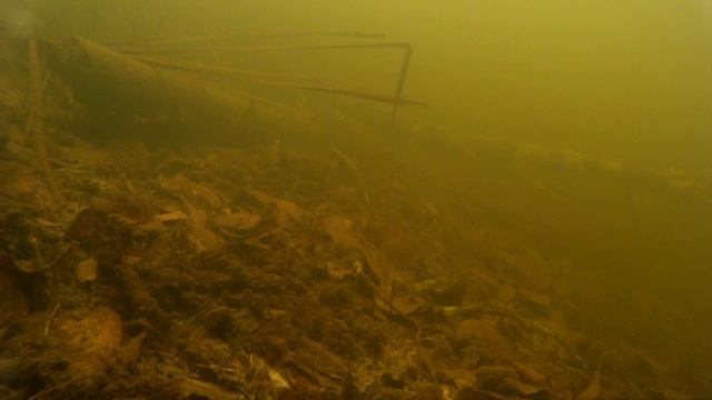 Подводная съемка репетиция.