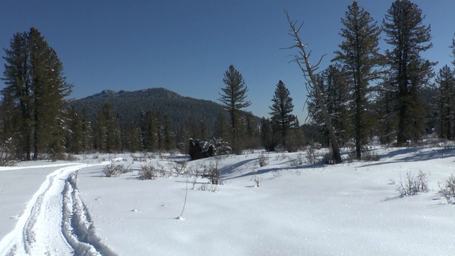 Республика Алтай.  Каракокша - Альбаган. Апрель, 2015г.