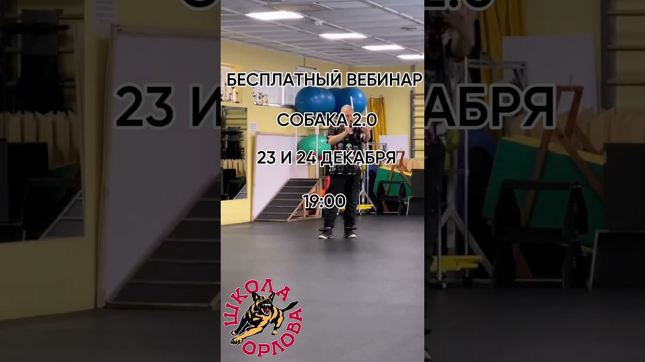 ПРЕДНОВОГОДНИЙ ПОДАРОК