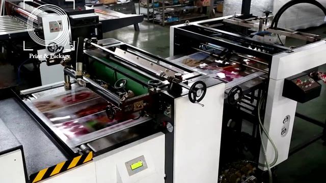 Автоматическая лакировальная машина