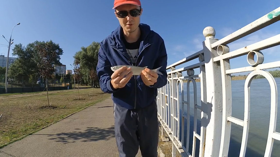 Перезалив: Рыбалка на реке Кубань 2018. Поймал густеру и чехонь. Рыбалка в Краснодарском крае.