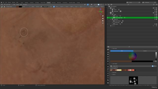 4.9. Eyeball and Skin