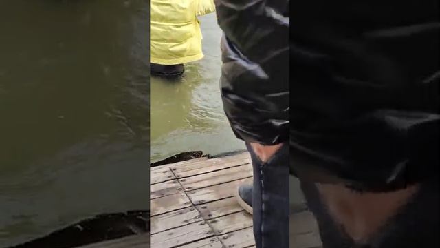 Вторая попытка. Wetlook