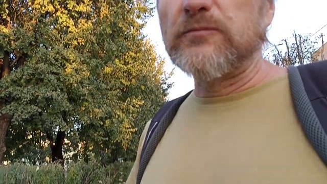 Жизнь и миссия на Земле Винсента Ван-Гога за семь минут. Брат Тео увековечил своего младшего брата