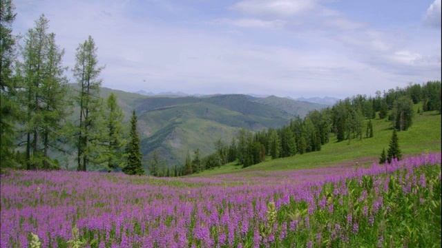 Практика соединения с Целым
