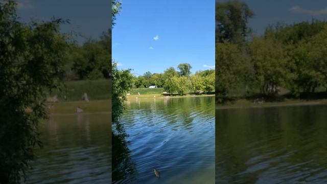 Мормышнг ! JS Company Bixod N Stream S451 XXUL первое знакомство ! Ловля Карася !