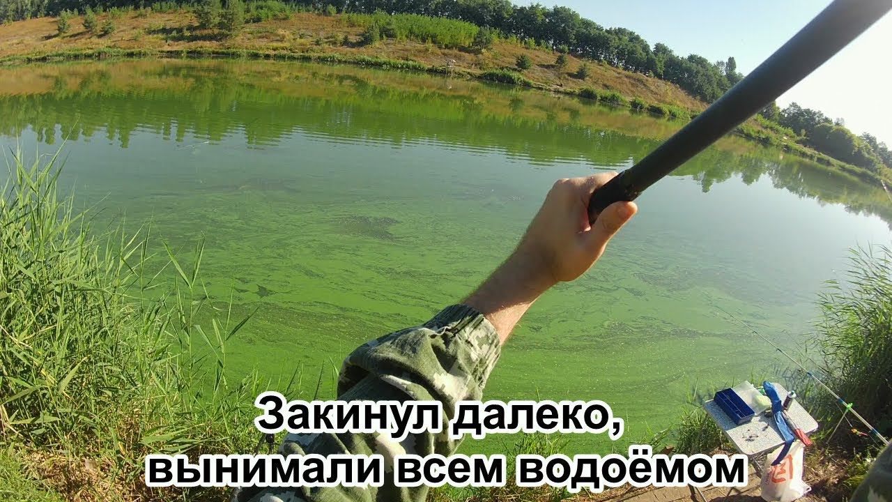 Рыбалка два дня на водоёме... Поймал карпа... 1 сентября... 17 сентября..