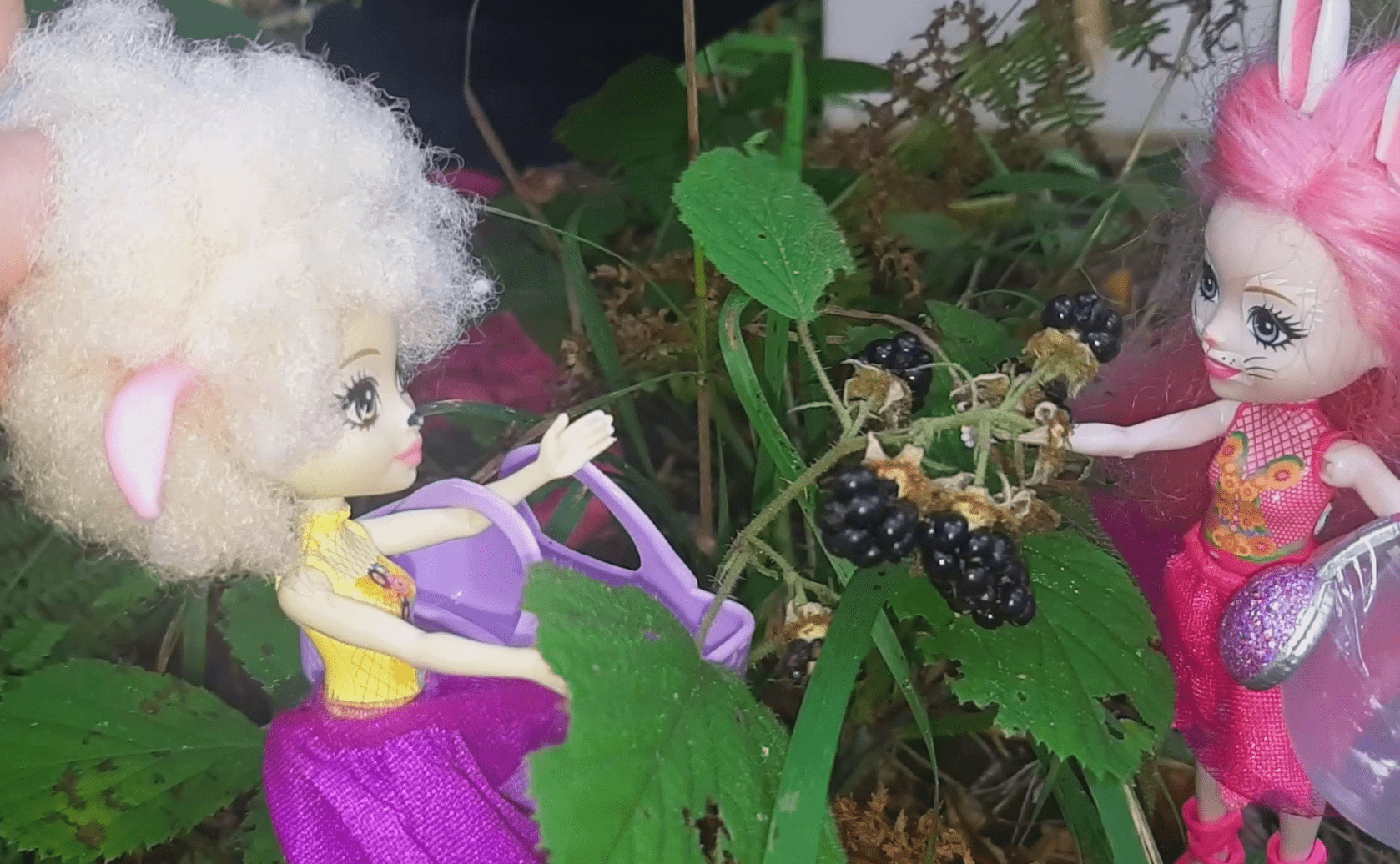 Enchantimals приехали в настоящий лес Мультики для детей