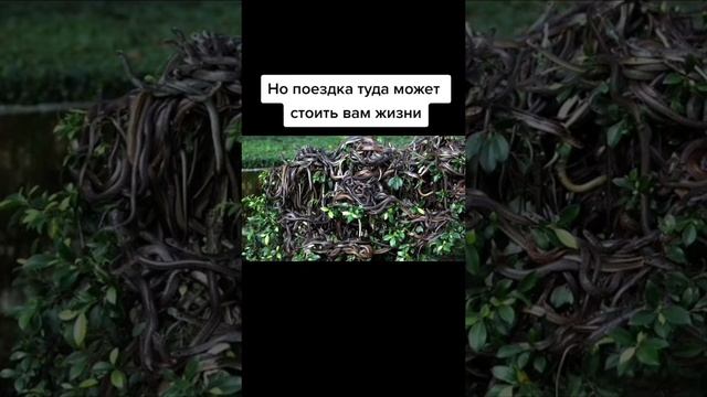 Куда ехать опастно для жизни