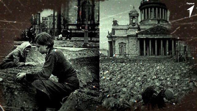 «Окна Победы»: Юннаты Первых гордятся трудовым подвигом своих предшественников