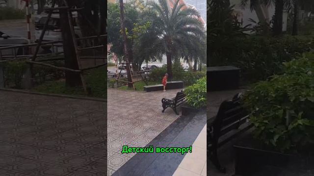 Разные радости Жизни. #психология #отношения #энергопрактики  #душа