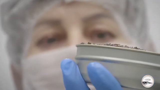 Видеоролик от партнёра Премии – АРК «Белуга»