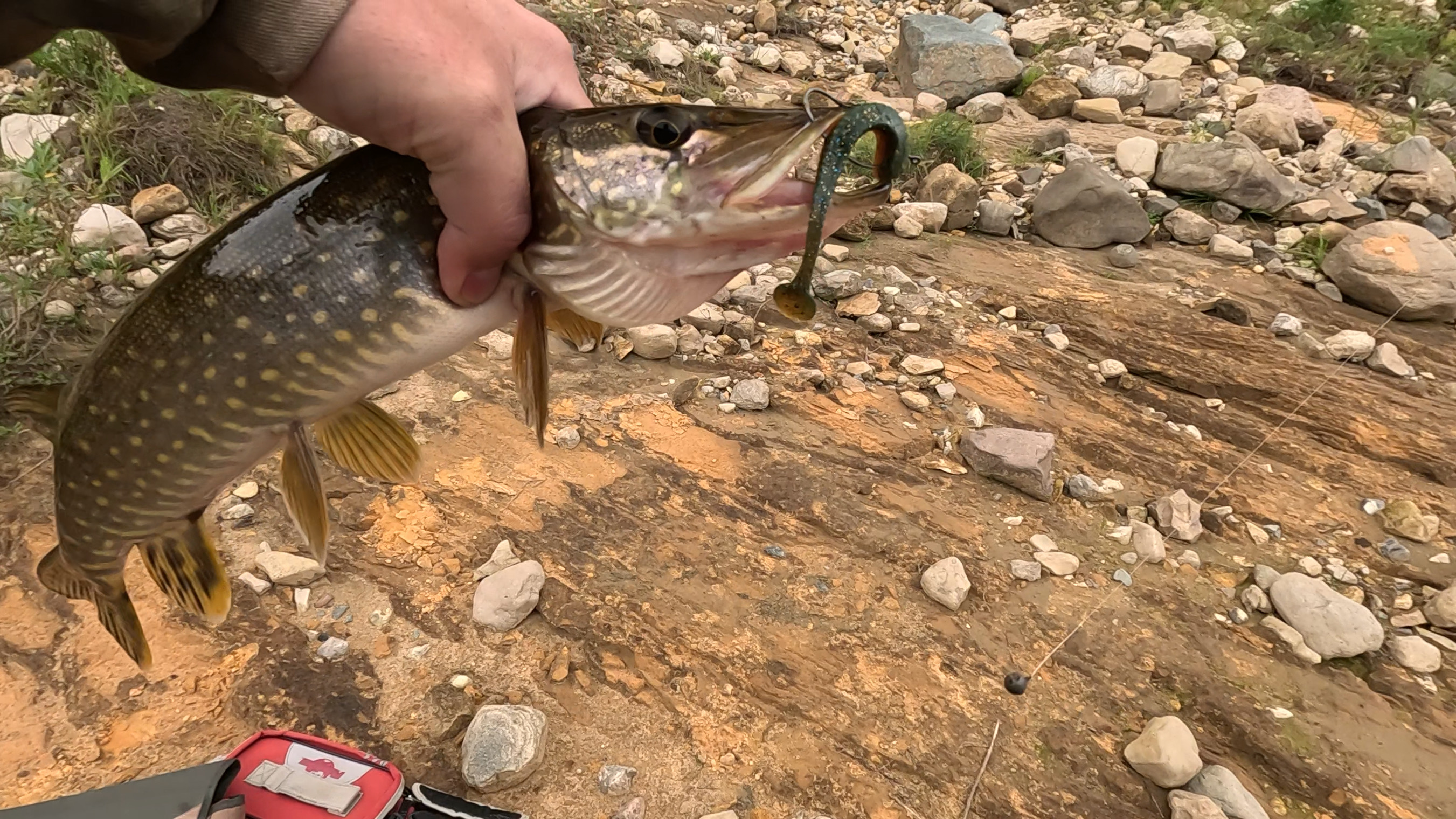 ЩУКАРИ С ЯМЫ НА ДЖИГ ОДНА ЗА ОДНОЙ