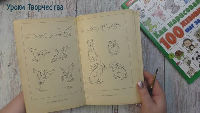 Как научить ребенка рисовать животных? Сравниваю два подхода (1983г и 2021г).