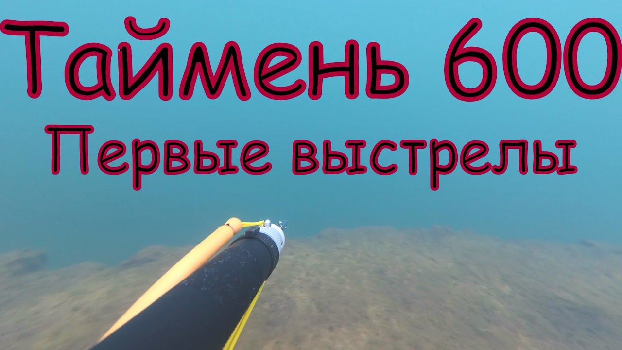 Тест подводного ружья Таймень 600