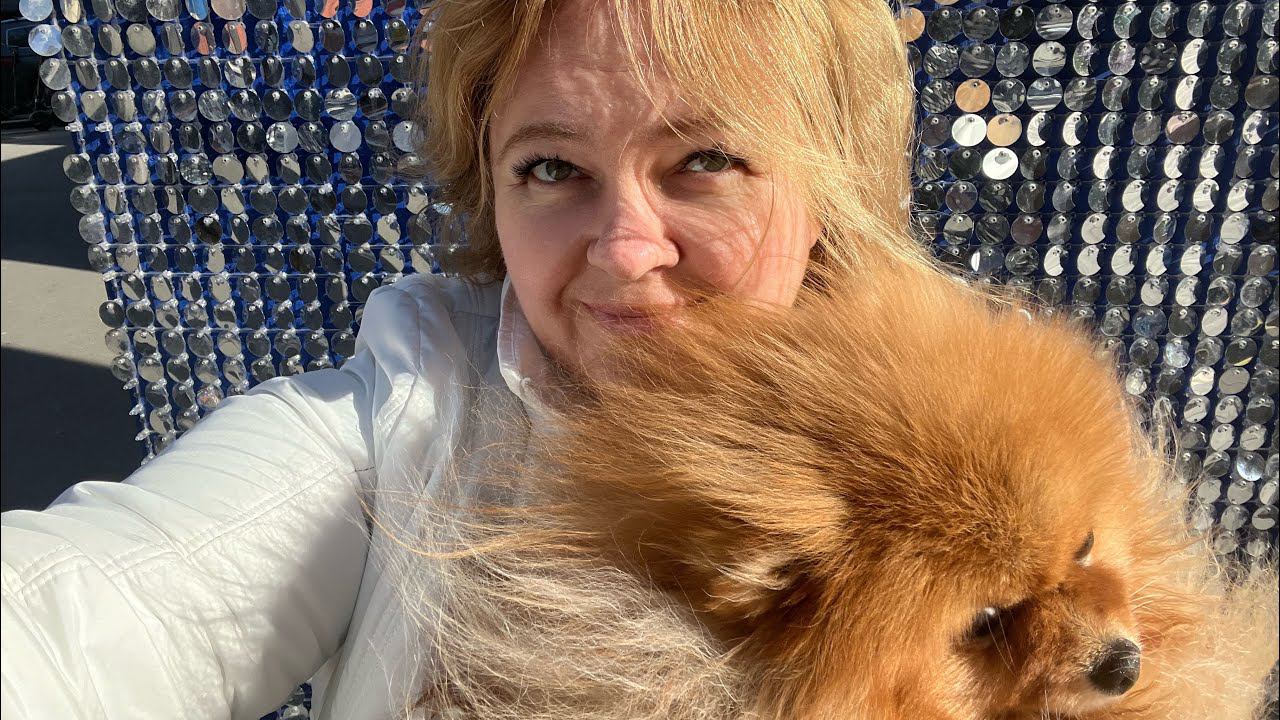 Коза-дереза и Севкабель порт- интересные места Санкт-Петербурга. Весна идёт!