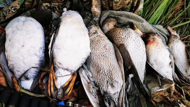 Воспоминания. Осень 2021. Грибалка,охота и рыбалка!)