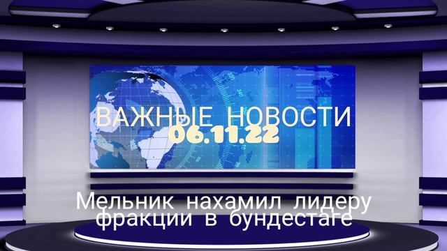 Мельник нахамил лидеру фракции в бундестаге