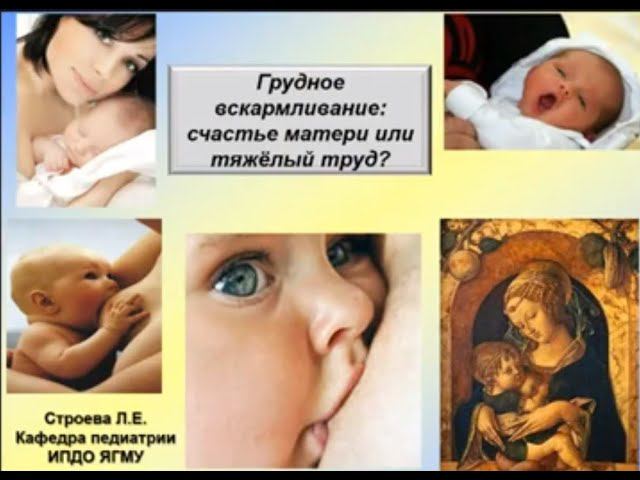 Грудное вскармливание  счастье матери или тяжёлый труд. Доцент Строева Л.Е.