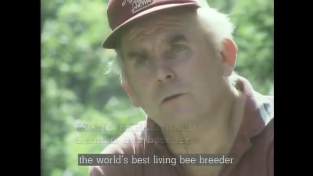 Обучалки СССР английские пчелы Buckfast (часть 1).mp4