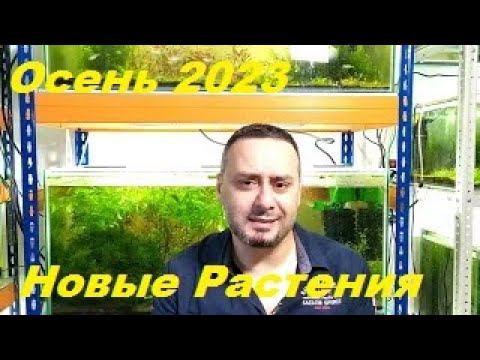 Осень 2023. Растительные новости. (Архив от 15.10.2023)