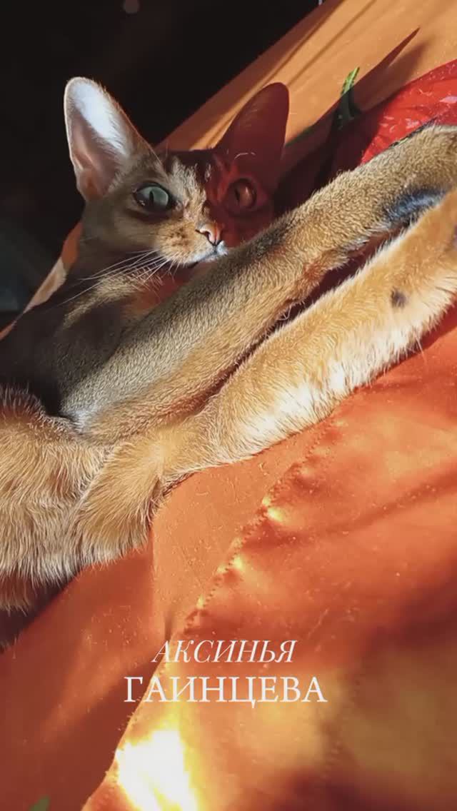 Аксинья | Трубочка | Играем