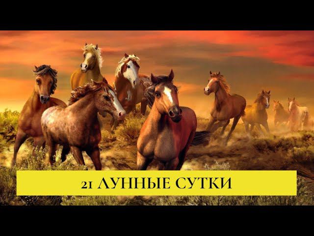 21 ЛУННЫЕ СУТКИ