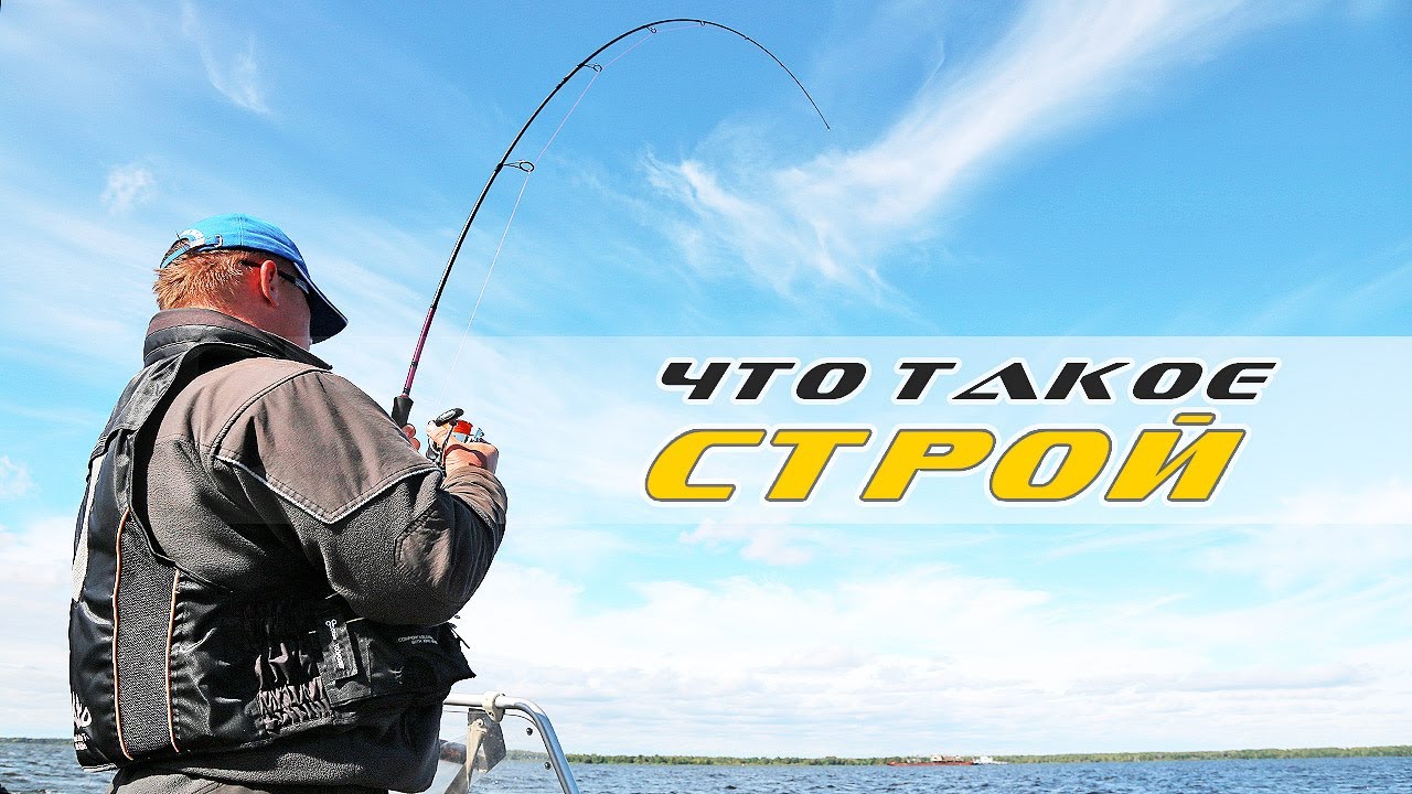 Что такое СТРОЙ СПИННИНГА и как он влияет на ВЫБОР спиннинга