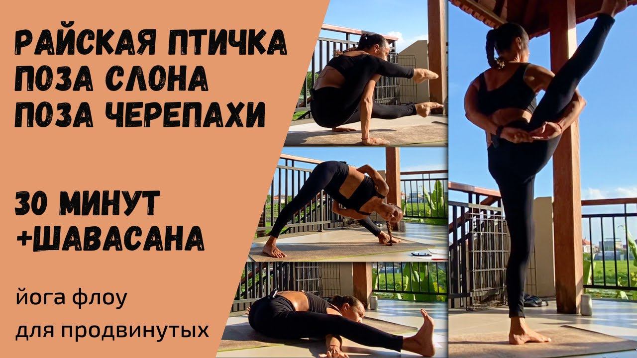 Креативная йога флоу для продвинутых. Освоение позы райской птицы, позы слона, позы черепахи