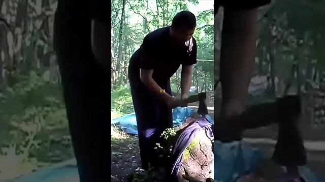 Походная мода. Брюки превращаются в элегантные шорты