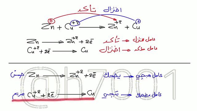 فصل رابع محاضره3 حسين الهاشمي