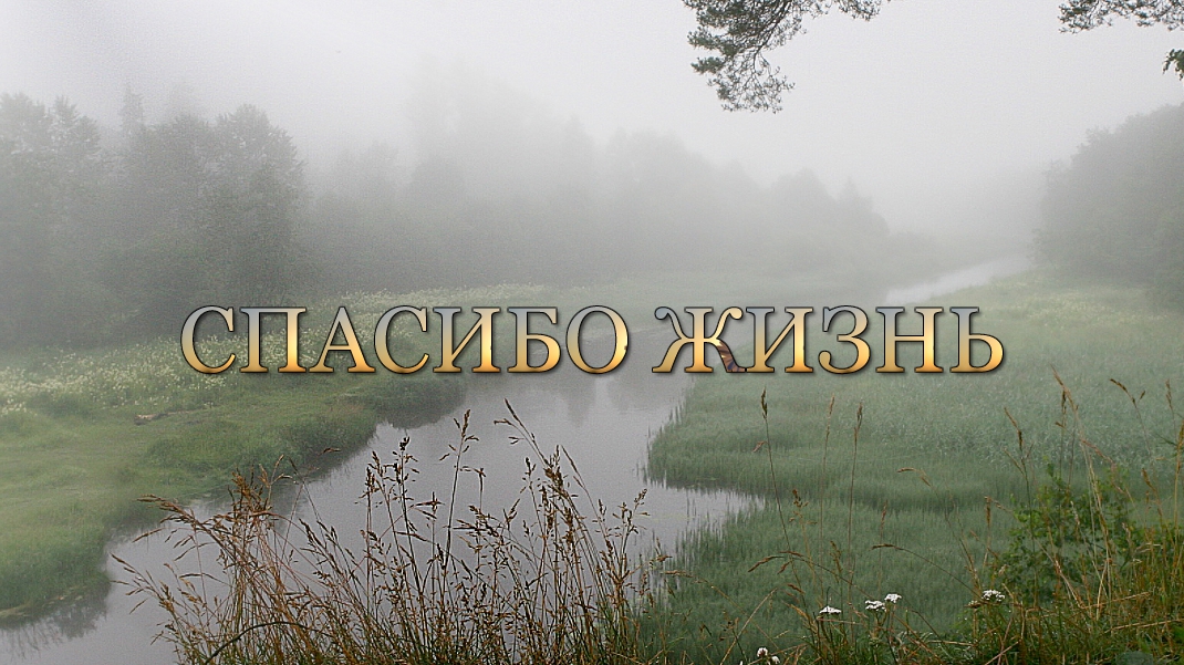 СПАСИБО ЖИЗНЬ!