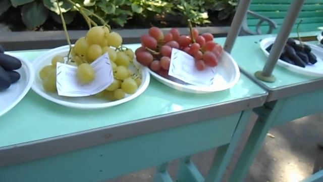 Выставка Винограда В Донецке _04.09.2021 7 Часть