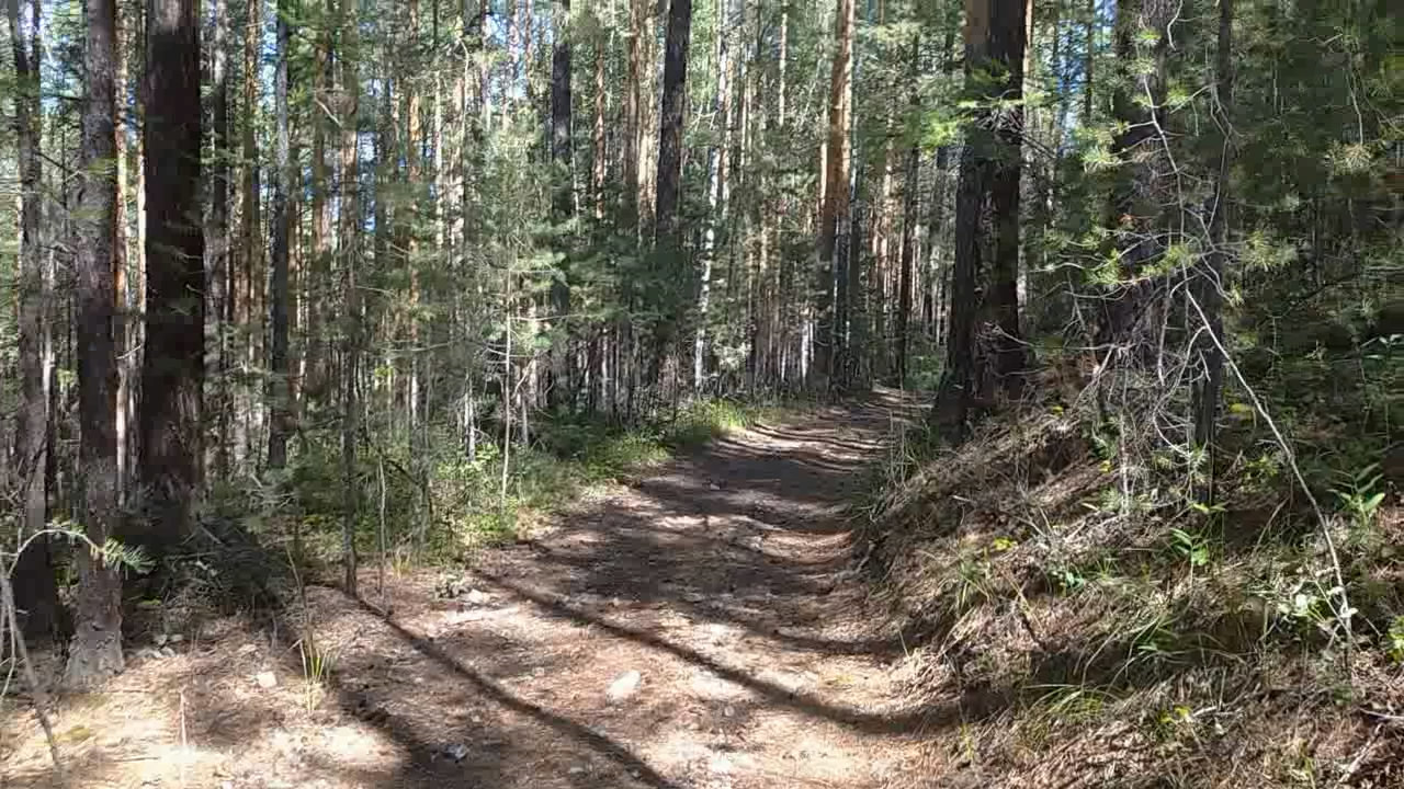 Францзская горка-начало