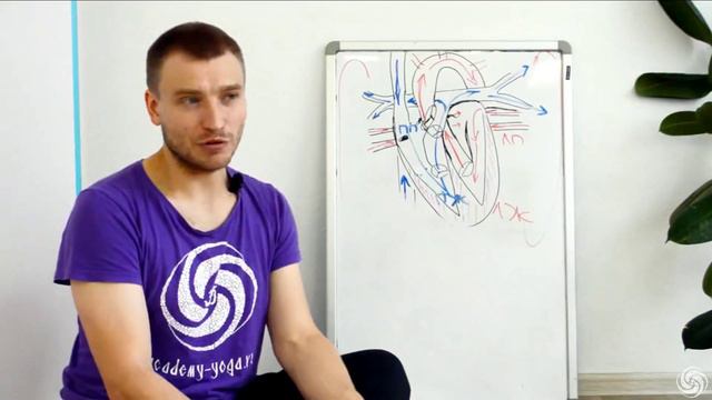 8.16. Сердечно-сосудистая система. Варикоз