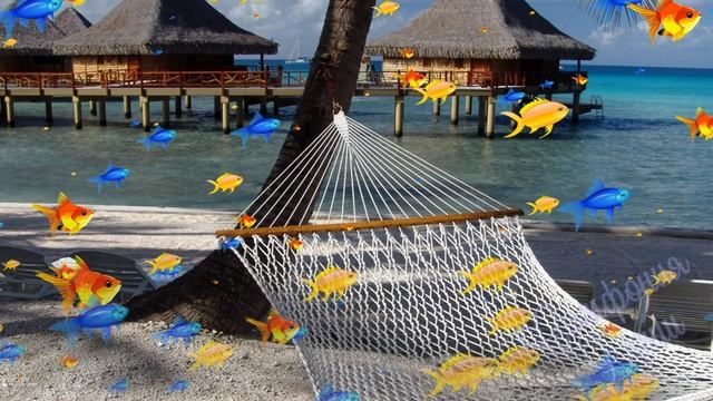 Морской музыкальный релакс  .mp4