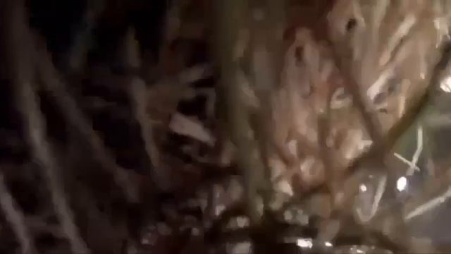 запуск в космос иностранного легиона всу.#shorts#
