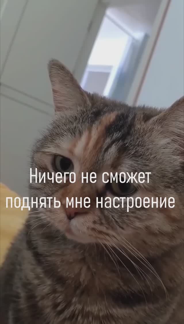 CHEER YOURSELF UP | ПОДНИМИ СЕБЕ НАСТРОЕНИЕ #торт #cakedecorating #рекомендации