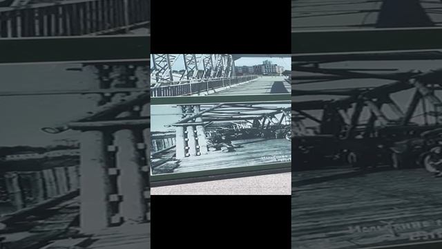 Елец. Каракумский мост на реке Быстрая сосна